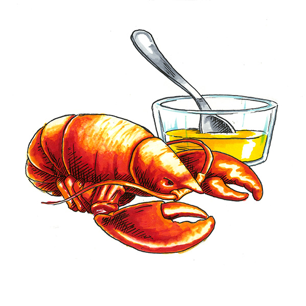 Lobster 101: An Illustrated Guide | Vital Choice