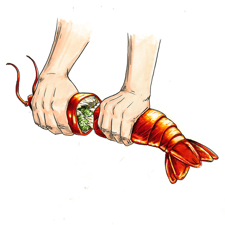 Lobster 101: An Illustrated Guide | Vital Choice