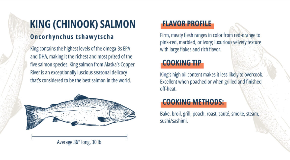 5 Types of Salmon | Vital Choice Blog