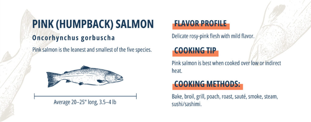 Get to Know the 5 Types of Salmon | Vital Choice