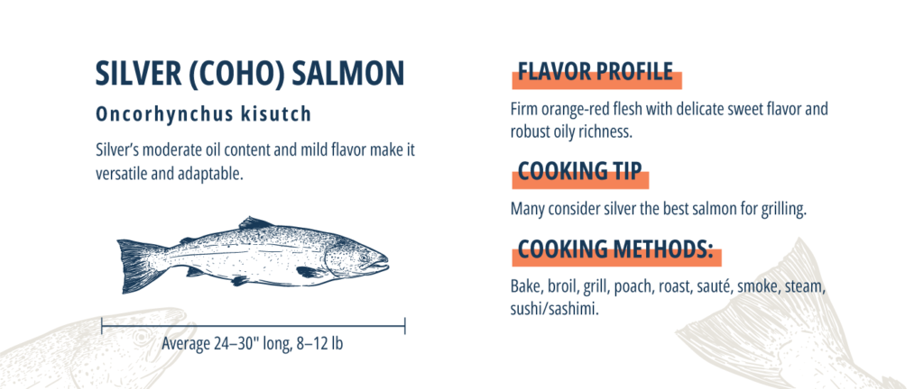 Get to Know the 5 Types of Salmon | Vital Choice