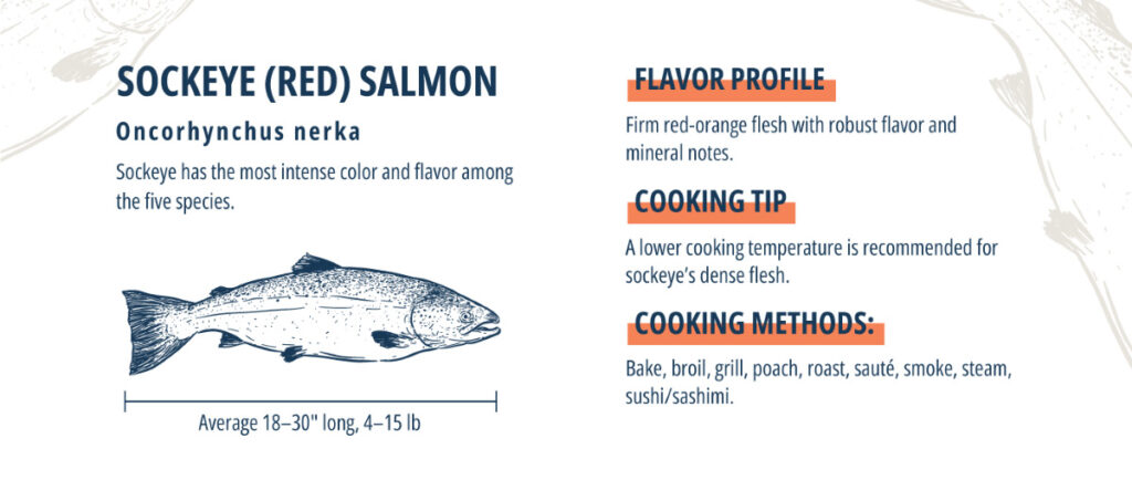 Get to Know the 5 Types of Salmon | Vital Choice